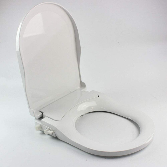 Oukaning Non Electric Toilet Seat Bidet Round Bidet Seat Wayfair